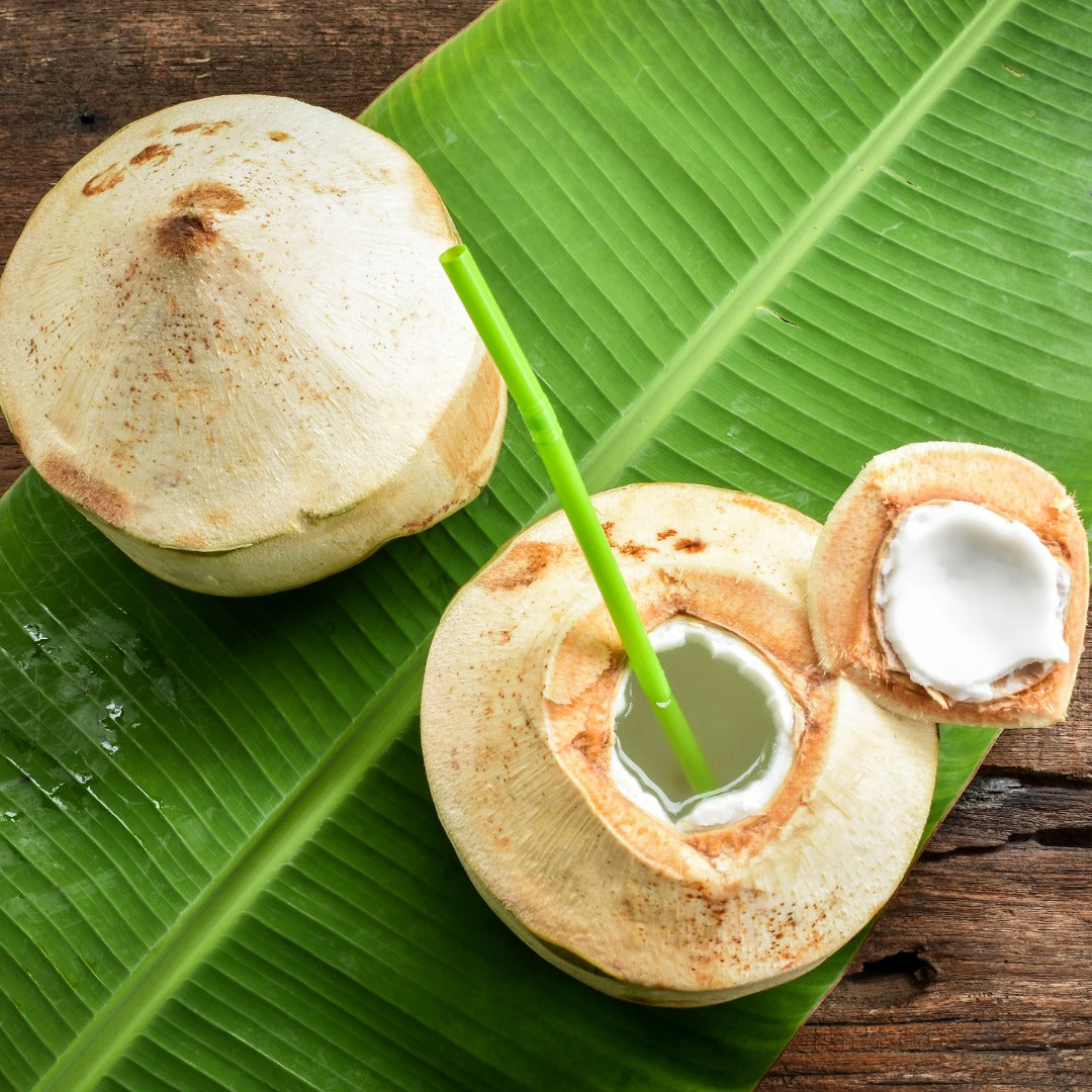 Buko Young Coconut | Fragrance Oil – Porter Candle Supply